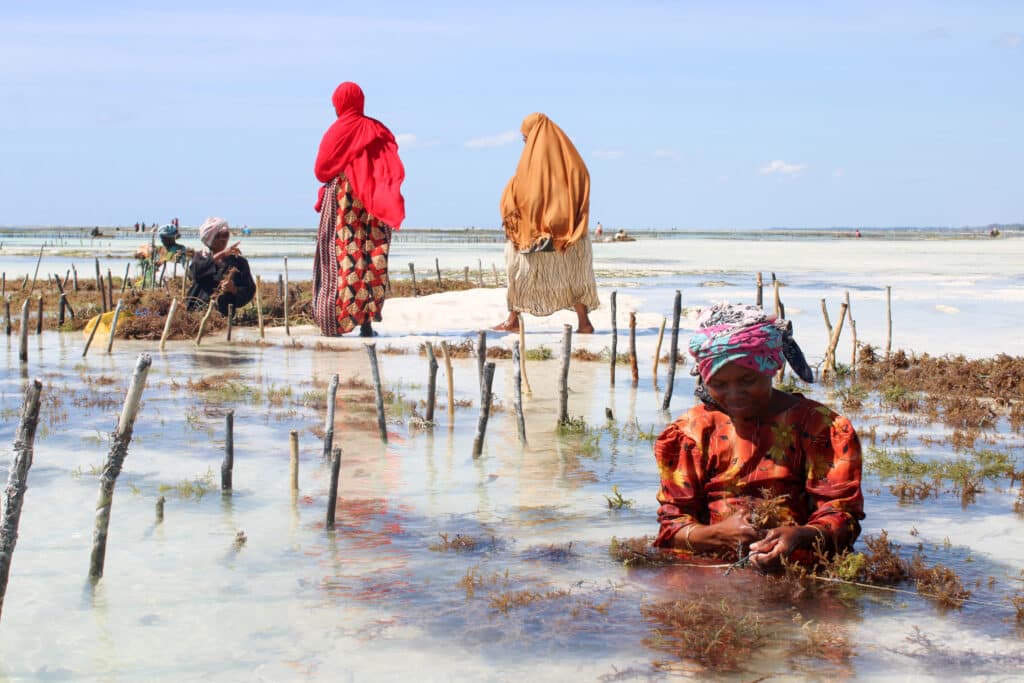 Milele Zanzibar Foundation - Segal Family Foundation